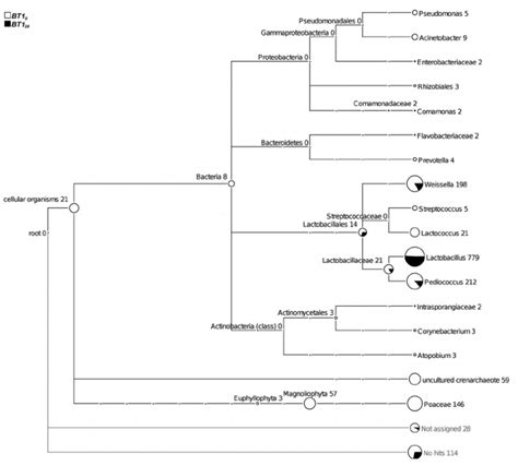 Megan 分类学树状图 饼图说明 组学大讲堂问答社区