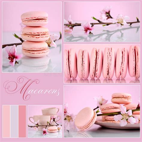 Pink Macarons Collage With Vintage Shabby Chic Theme Stock Image