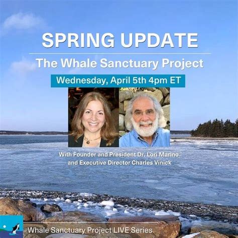 Spring Update Webinar 2023 The Whale Sanctuary Project Back To Nature