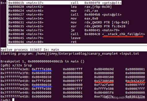 Buffer Overflows Aslr And Stack Canariesaslr和stack Canaries Csdn博客