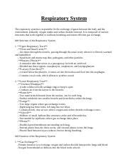 Understanding The Respiratory System Structure Function And Course Hero