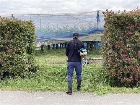 果樹園の草刈り！ 株式会社ファームタケヤマ｜葡萄園（ぶどう狩り）｜梨園（なし狩り）｜稲作経営