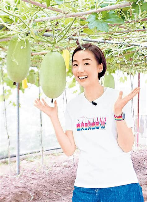 江美儀煮餸想有mr Right欣賞 東方日報