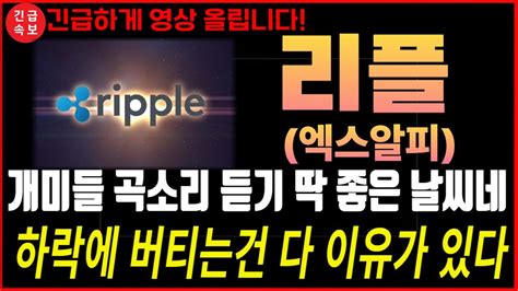 리플xrp엑스알피 리플 엑스알피 오늘 개미들 곡소리내기 딱 좋은 날씨다바로 지금이 마지막 기회입니다 리플 리플전망 리플분석 엑스알피리플 리플전망 리플분석