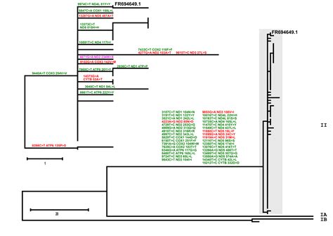 Structural Insights Into Functional Impacts Of Common Variants In