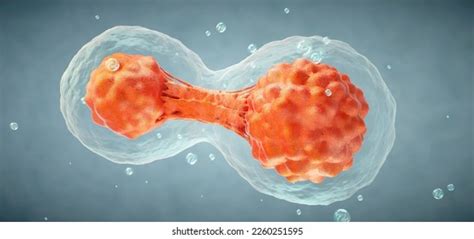인간 세포 또는 배아줄기세포 현미경의 3d 스톡 일러스트 2260251595 Shutterstock
