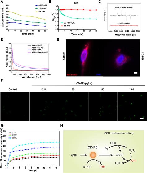 Carbon Dots Based Nanozyme For Drug Resistant Lung Cancer Ijn