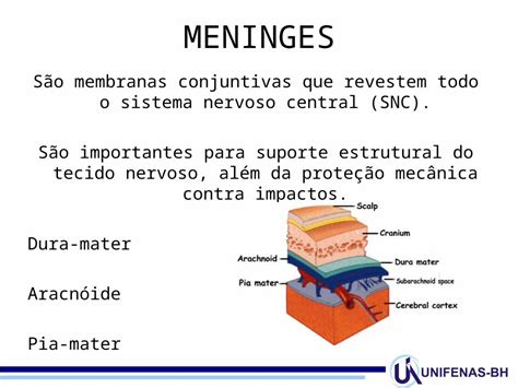 PPT Bioquímica Clínica II Líquido Cefalorraquidiano DOKUMEN TIPS