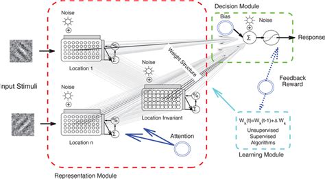Visual Perceptual Learning And Models Pmc