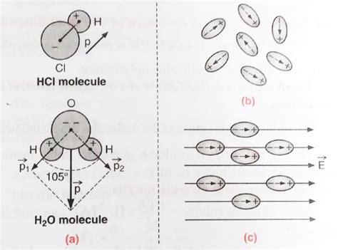 Dielectrics Definition Classification Dielectric Polarization Examples