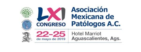 Sociedad Latinoamericana de Patología https slap patologia org