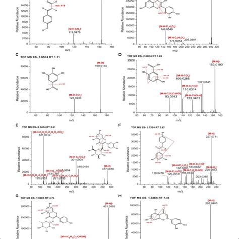 Figure E Msms Spectra And Fragmentation Patterns Of Selected Phenolic