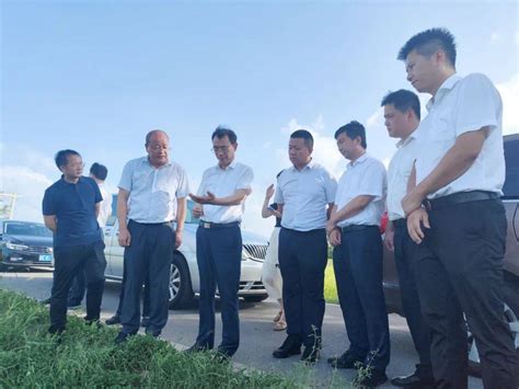 省农业农村厅领导调研七都：打造“三生融合”现代化农村！朱新华江村弓村