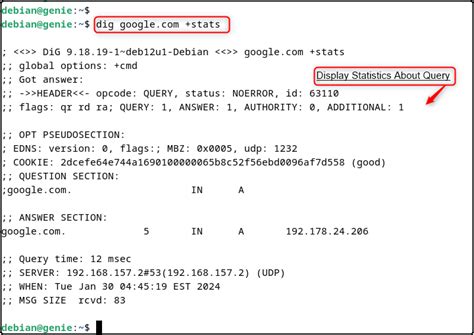How To Install Dig On Debian 12 Linux Genie
