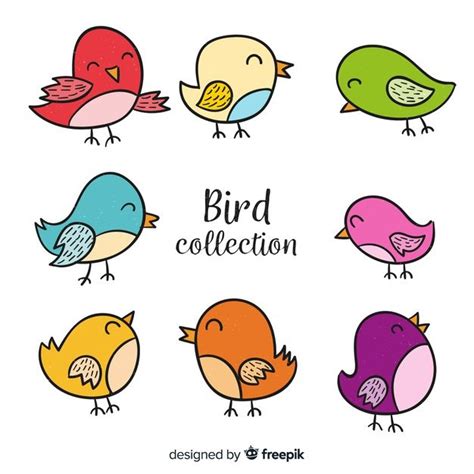 Free Vector Colorful Hand Drawn Bird Collection How To Draw Hands