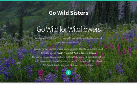 Go Wild Sisters
