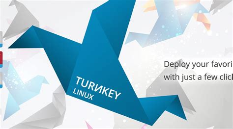 Turnkey Linux Cloudsurph Web Hosting Washington D C