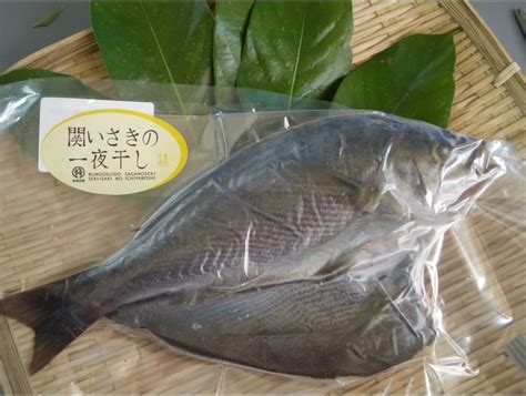 Amazon 大分県佐賀関産 関いさきの一夜干し 2lサイズ 4尾セット 【イサキ干物】 大分県漁業協同組合 鮮魚 通販