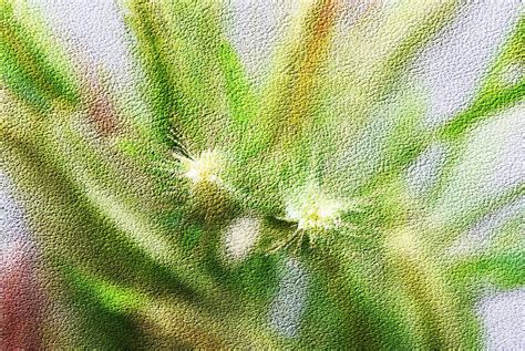 Beautiful Grass Illustration Mixed Media By Werner Lehmann Fine Art