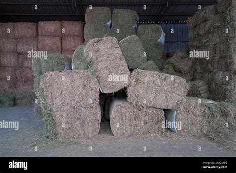 The High Quality Forage Warehouse Is Located In A Dairy Farm In North