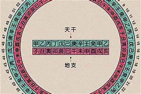 八字大运是看天干还是地支大运天干和地支的作用 八字 若朴堂文化