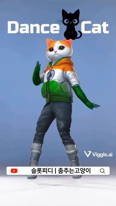 킥드럼베이스 춤추는 고양이 Dance Cat Youtube