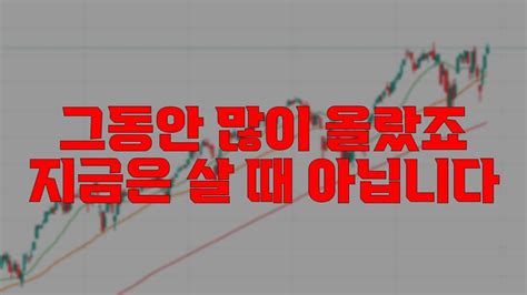 테슬라 실적발표 넷플릭스 하락 애플 신고가 나스닥 Soxl 반도체 주가전망 차트분석 주린이 Youtube