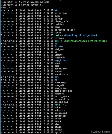【进程管理】认识系统调用函数fork fork系统调用 csdn博客