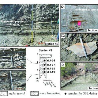 Detailed Sedimentary Logs And Photographs Of Lacustrine Sections 6 And