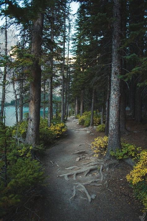 Pin By Mike Goedecke On Dimensions Nature Photography Beautiful Nature Scenery