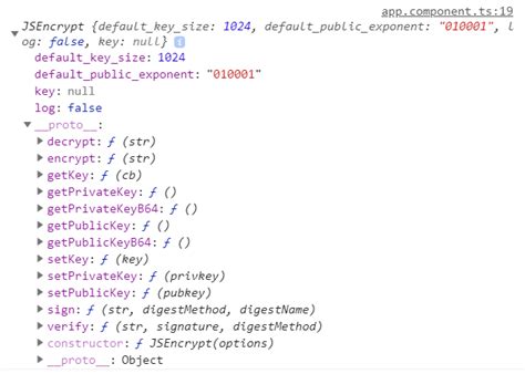 Importing Javascript Library Jsencrypt Into Angular 2 App ~ Angularfix