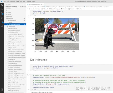 Windows Openvino Notebook