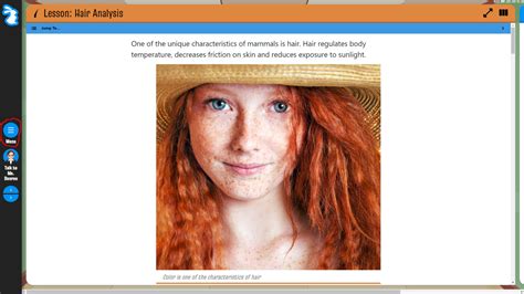 How To Open And Close The Navigation Menu Learn Engines User Guide