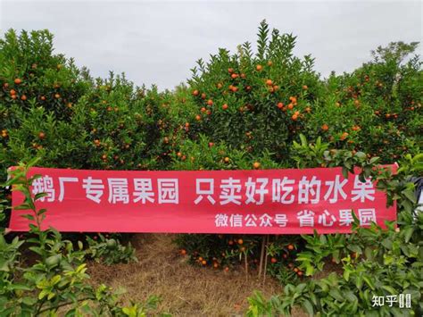 冷冻榴莲和新鲜榴莲有什么不同？ 知乎