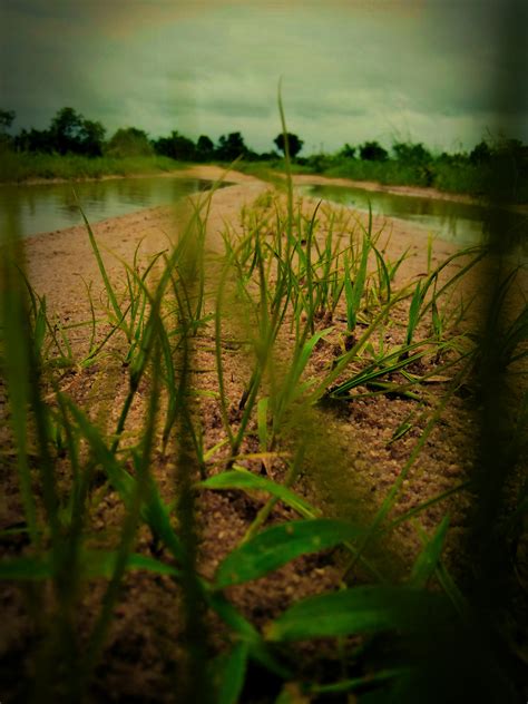 Mohammad Sameer Photography