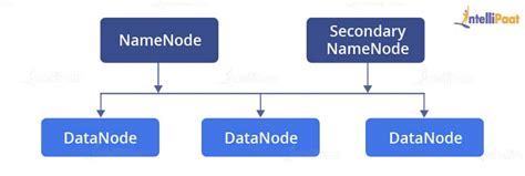 Hadoop Architecture Mapreduce Layer HDFS Layer Intellipaat