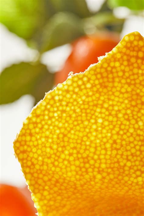 眷之茶｜橘子系列茶饮拍摄zeyustudio 站酷zcool
