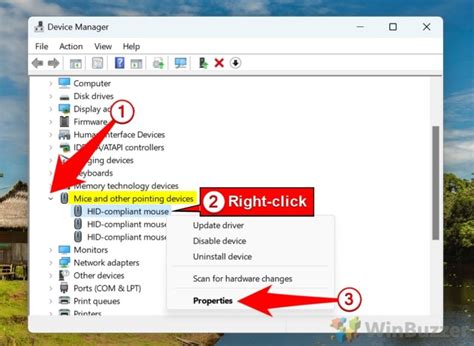 How To Change Scroll Direction On Windows 11 And Windows 10 WinBuzzer