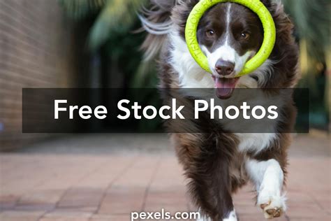 Bakgard Fast Grass Photos Download The Best Free Bakgard Fast Grass