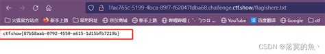 2024年网络安全最全ctfshow web入门篇 信息搜集详细wp ctfshow web csdn博客