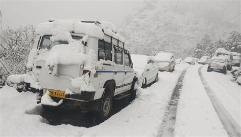 Manali Treehouse And Cafe Prices And Campground Reviews Prini India