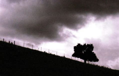 Jacob Tree By Glasswalker33 On Deviantart