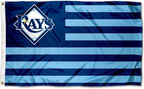 Buy Wincraft Tampa Bay Rays Nation Flag 3x5 Banner Online At Lowest