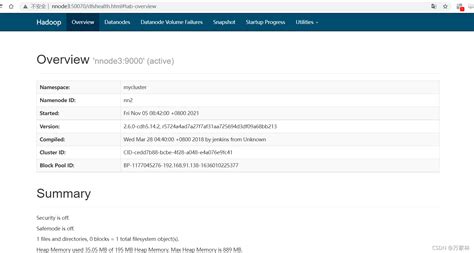 hadoop搭建高可用集群（保姆级教程） 搭载hadoop高可用集群 csdn博客