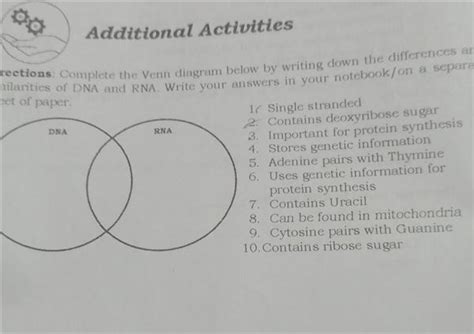 Dna Rna Venn Diagram