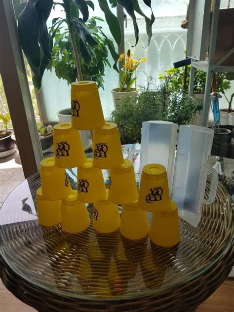 스피드스택스 컵쌓기 12cup 헬로마켓