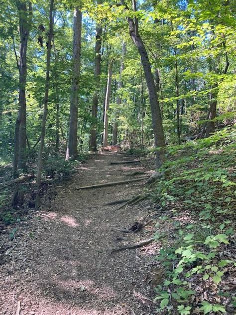 Ashley Wagner Feit Mba On Linkedin I Recently Took A Hike On A Trail That Ive Been On Many