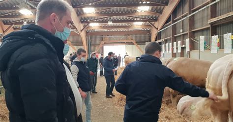 Charolles Vente Aux Enchères De Reproducteurs Charolais Pari Réussi