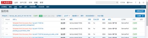 通过zabbix的自动发现(规则)自动创建监控项 Zengs Page 通过zabbix的自动发现(规则)自动创建监控项 Zengs Page