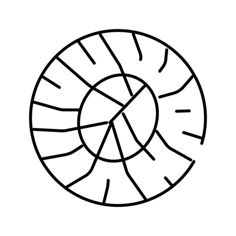 Ammonite Shell Fossil Drawing With Chambered Structure 74523976 Vector